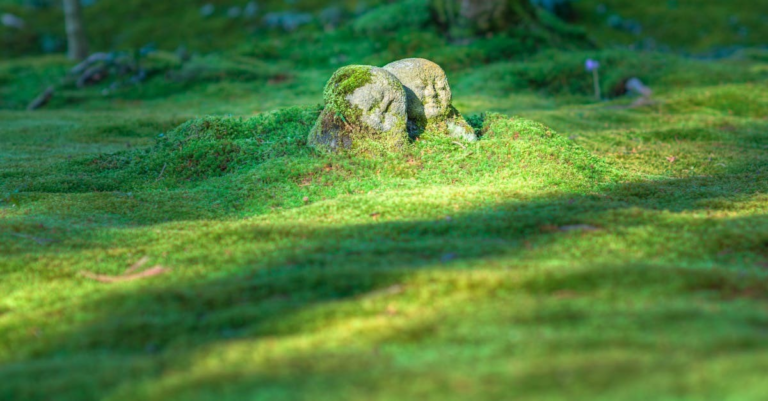 Japanese Notan Art: Unveiling the Beauty of Light and Shadow ...
